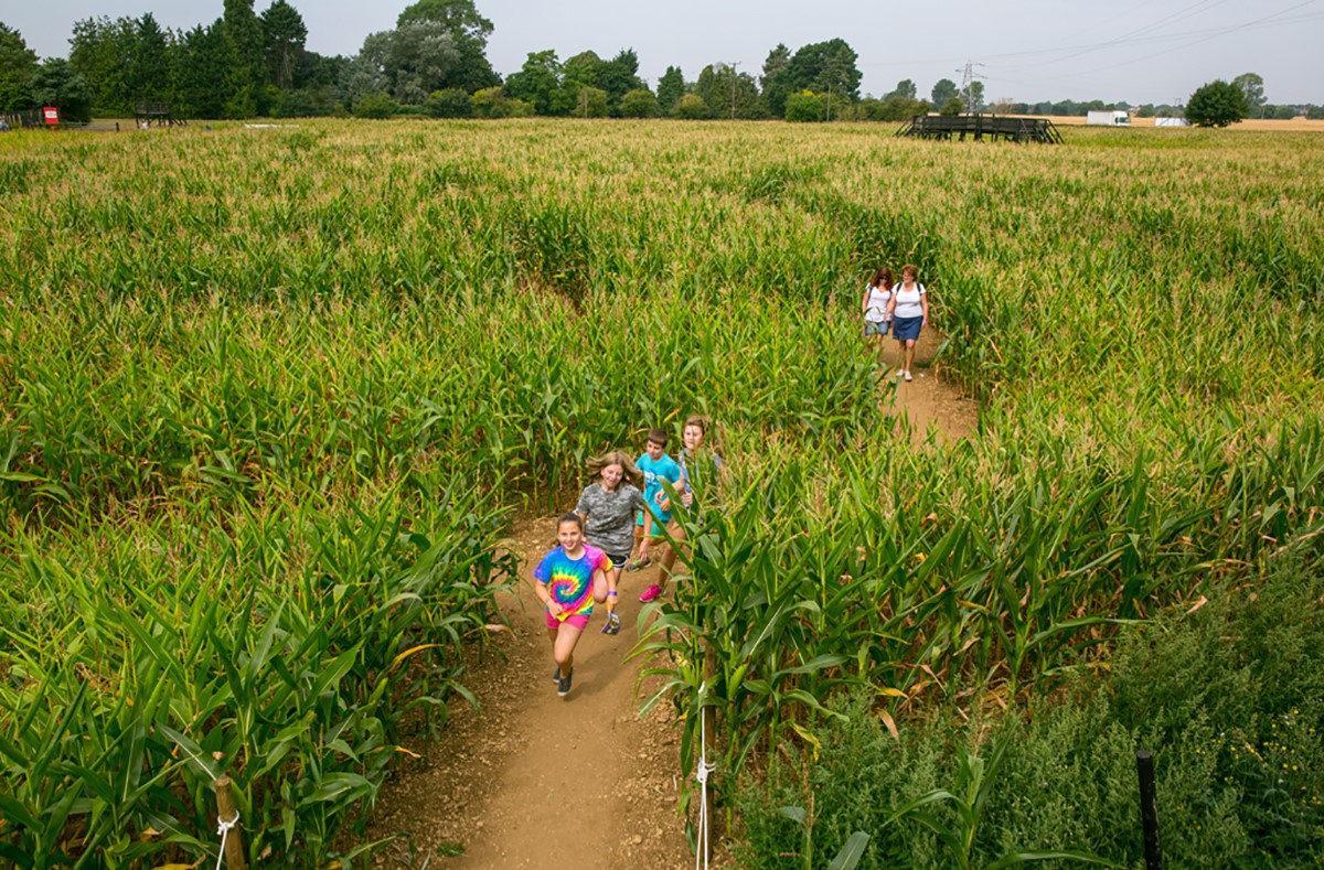 Millets Maize Maze - Millets Farm Centre