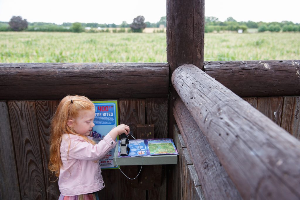Millets Maize Maze - Millets Farm Centre