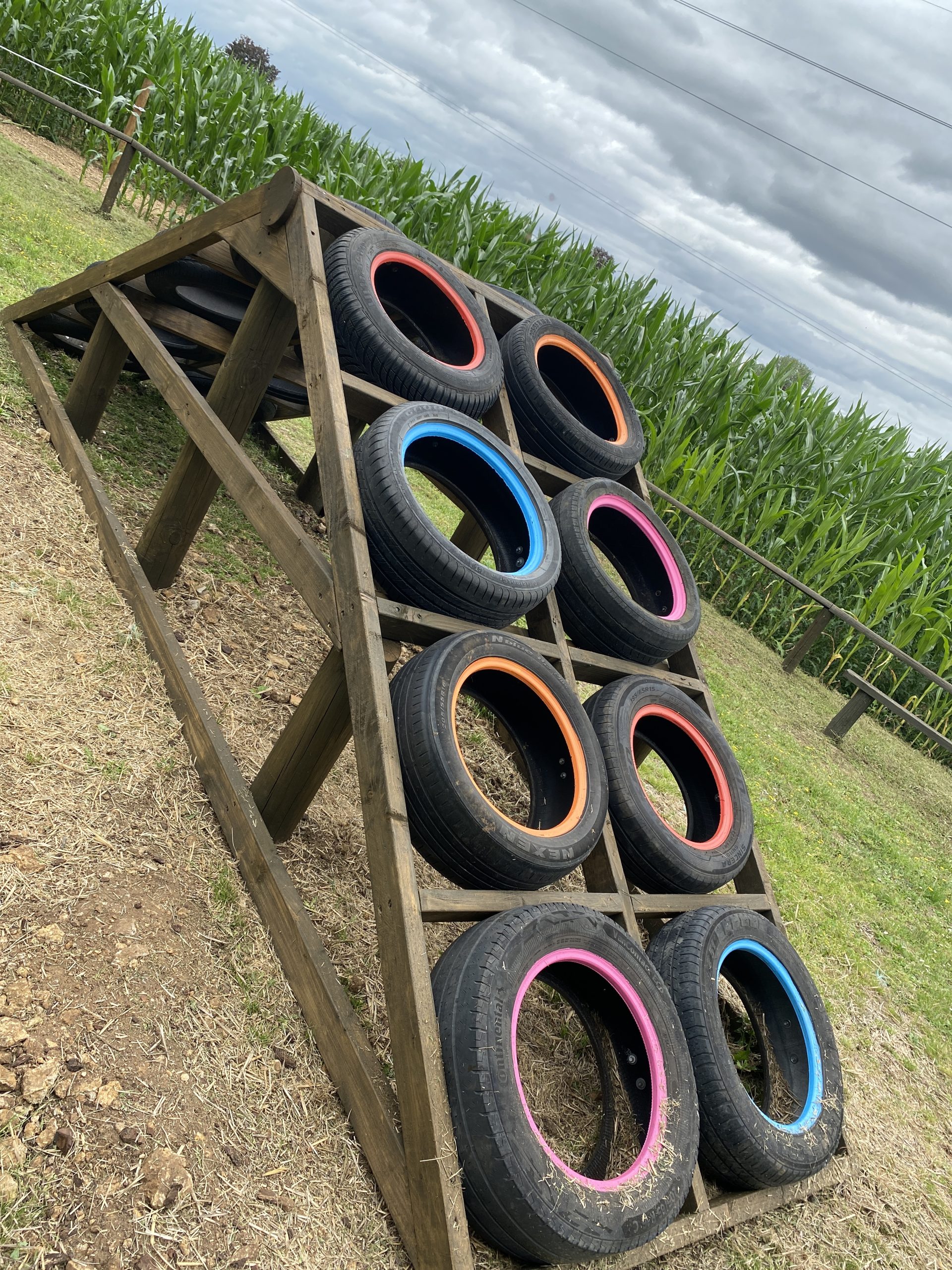 Millets Maize Maze - Millets Farm Centre