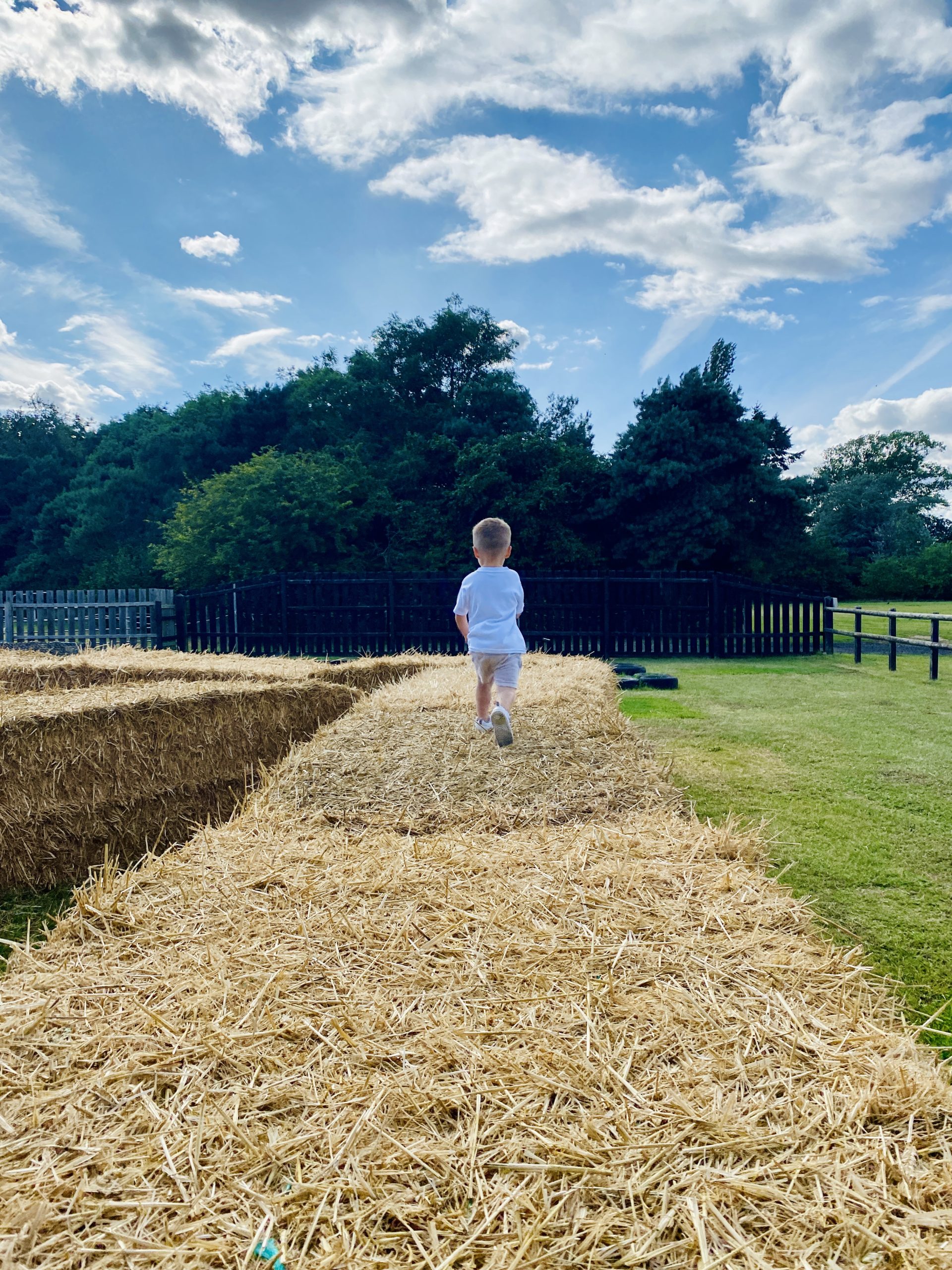 Millets Maize Maze - Millets Farm Centre