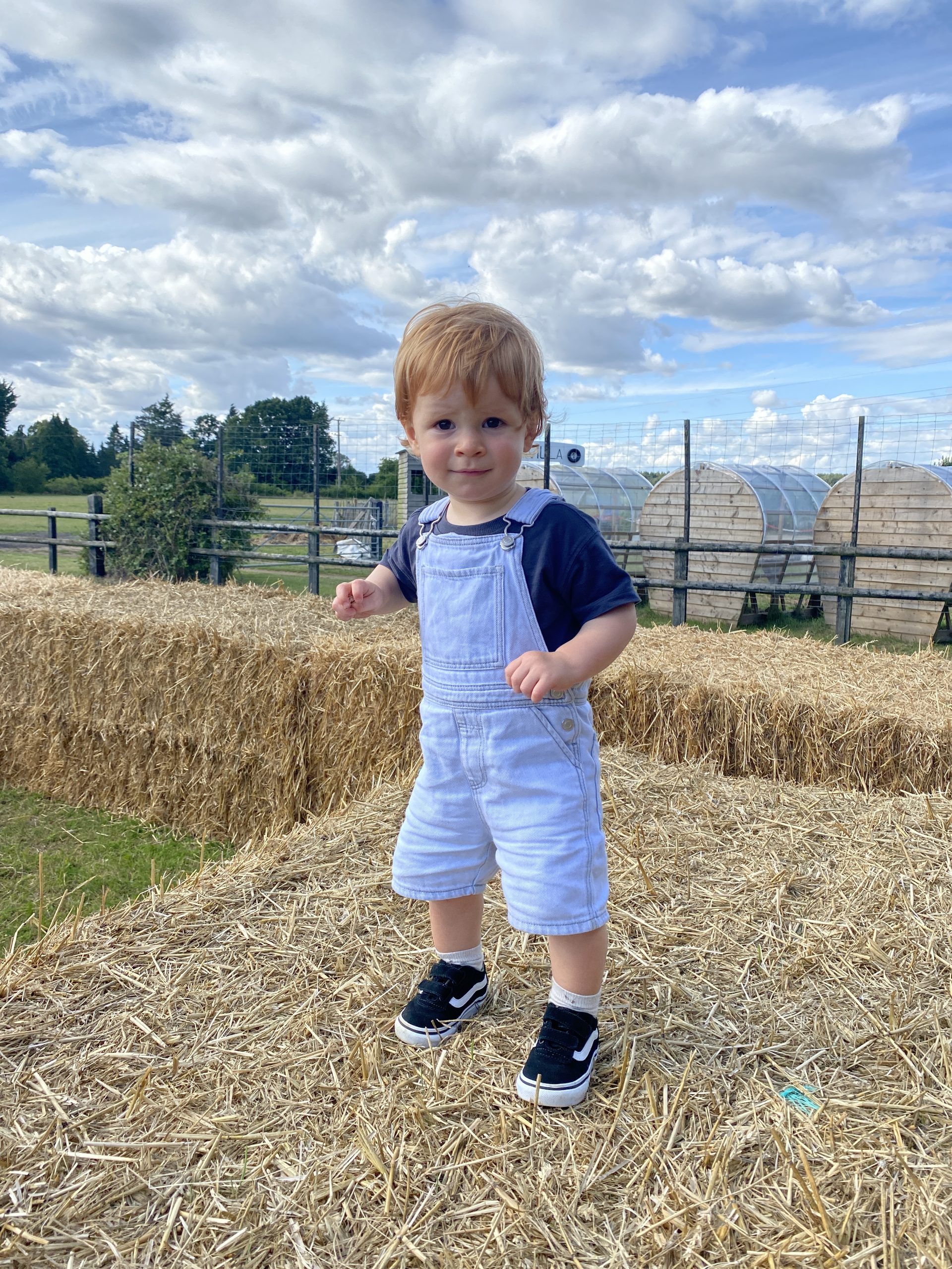 Millets Maize Maze - Millets Farm Centre