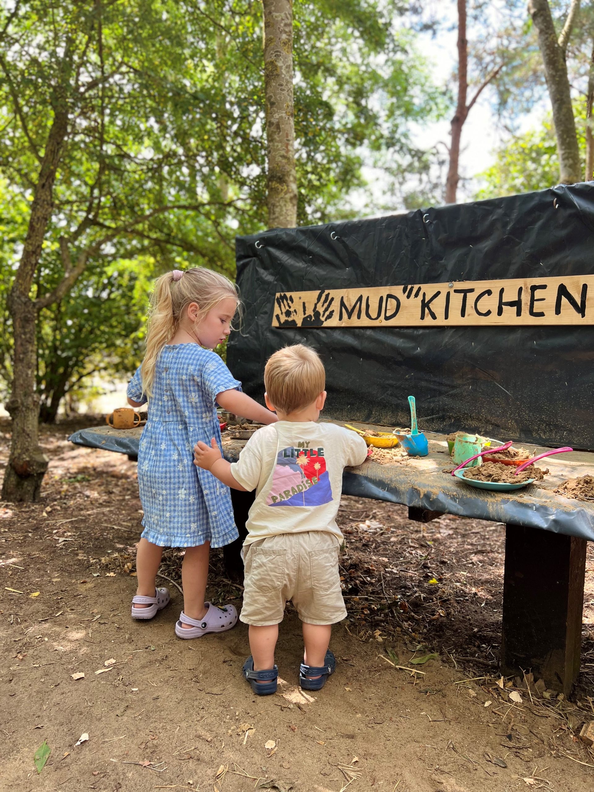 Millets Maize Maze - Millets Farm Centre
