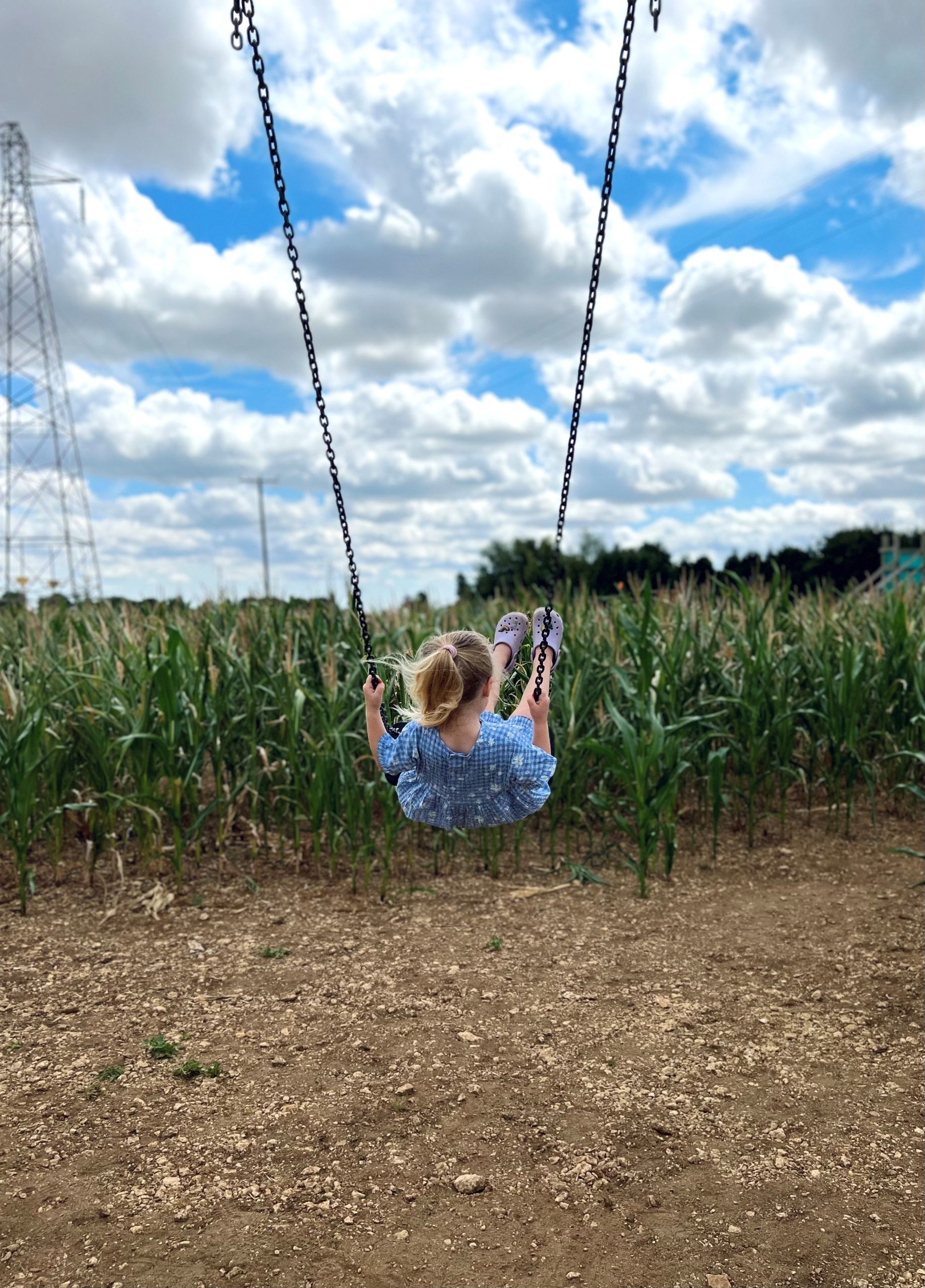 Millets Maize Maze - Millets Farm Centre